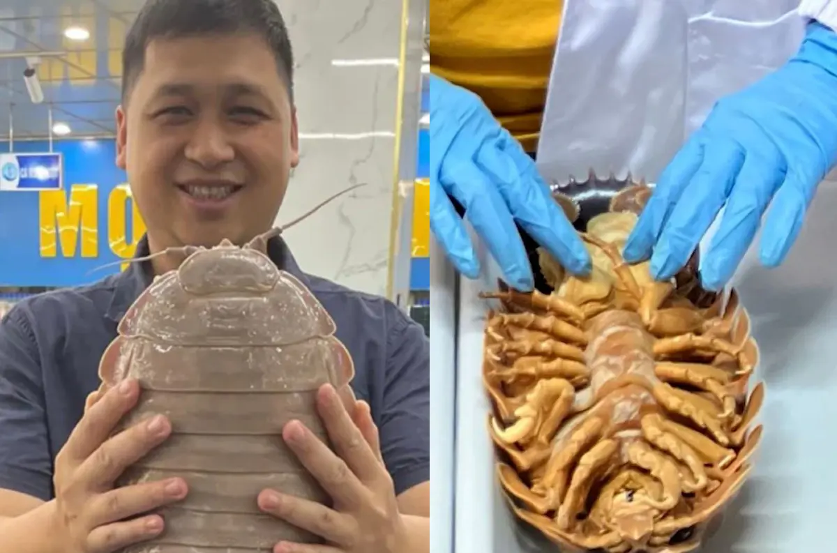 Vietnamci po novom jedia podmorské ploštice. Chutia vraj podobne ako