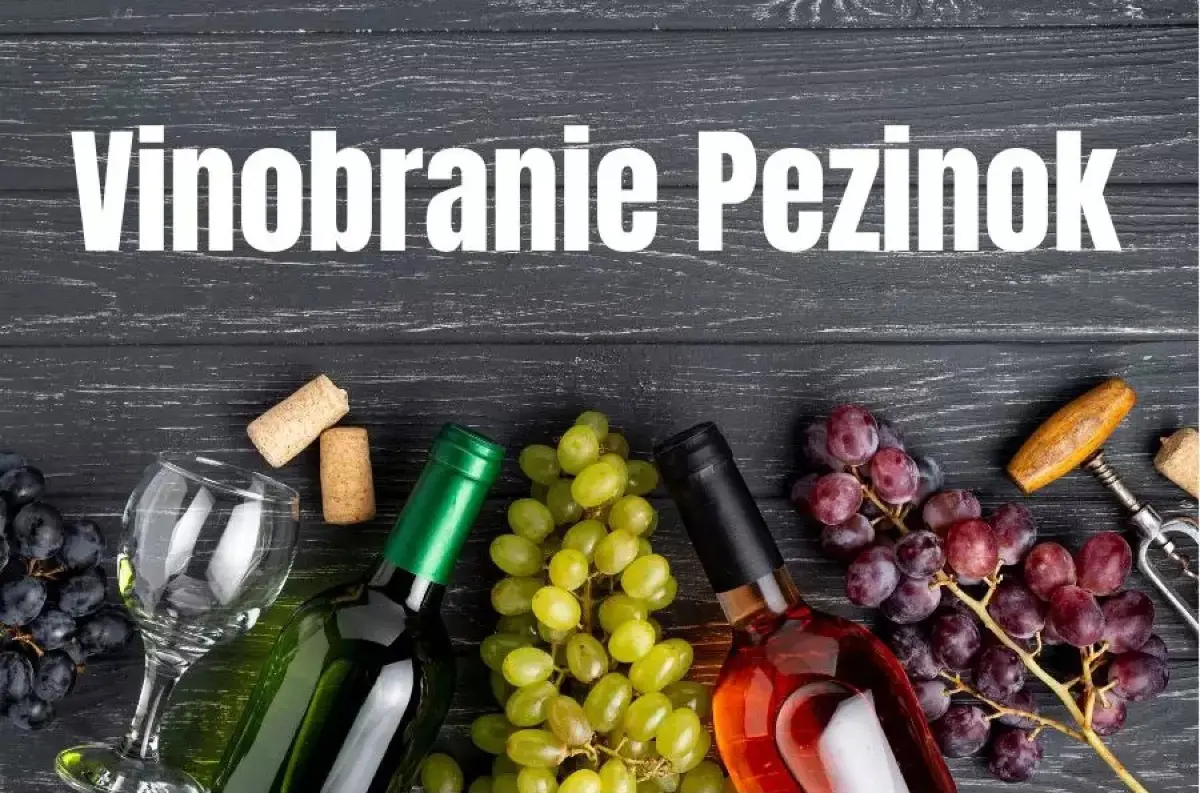 Totálny dopravný kolaps v Pezinku: Vinobranie 2025 uzavrie centrum na