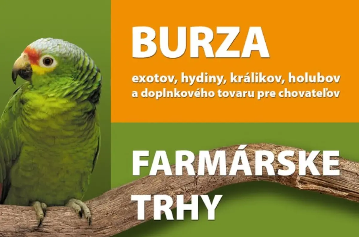 Najväčšia burza zvierat na Slovensku: Agrokomplex v Nitre zaplnia